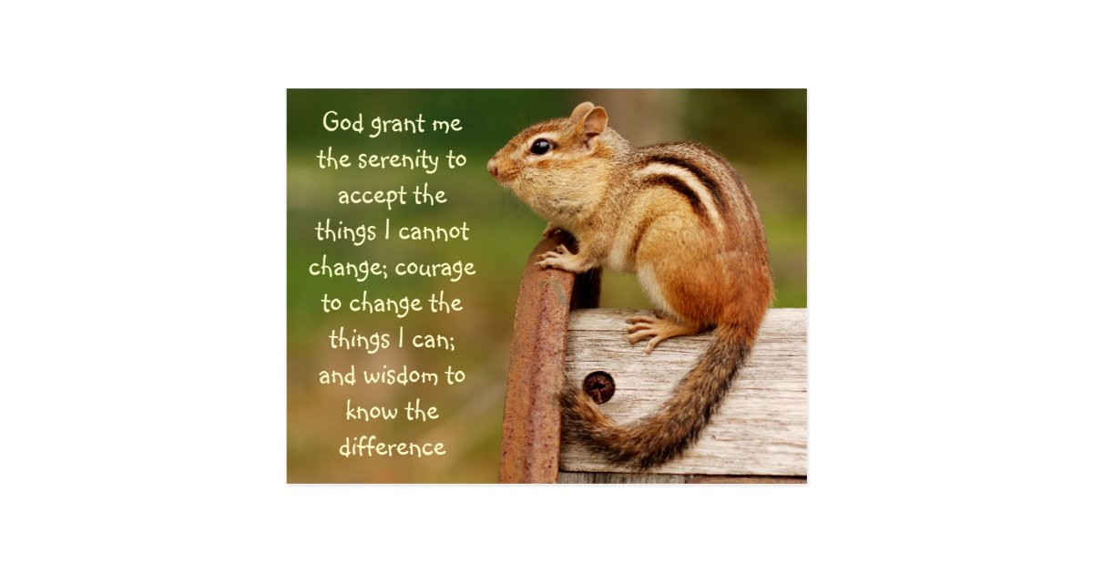 Serenity Prayer Chipmunk Postcard | Zazzle.com