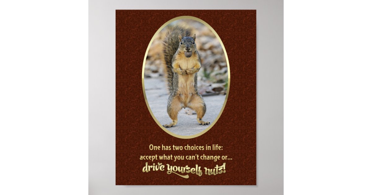 Serenity Prayer in a Nutshell Poster | Zazzle