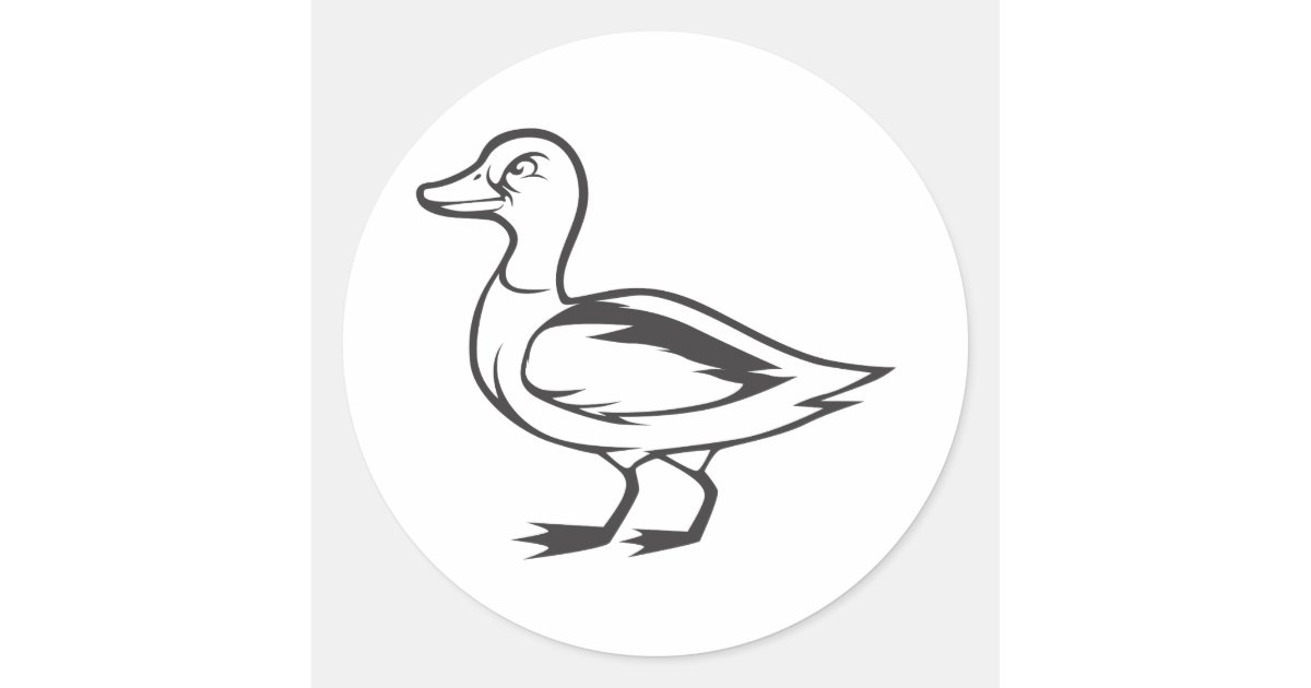 Serious Mallard Duck Bird in Black and White Classic Round Sticker | Zazzle