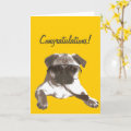Serious Pug Congratulations Greeting Card | Zazzle