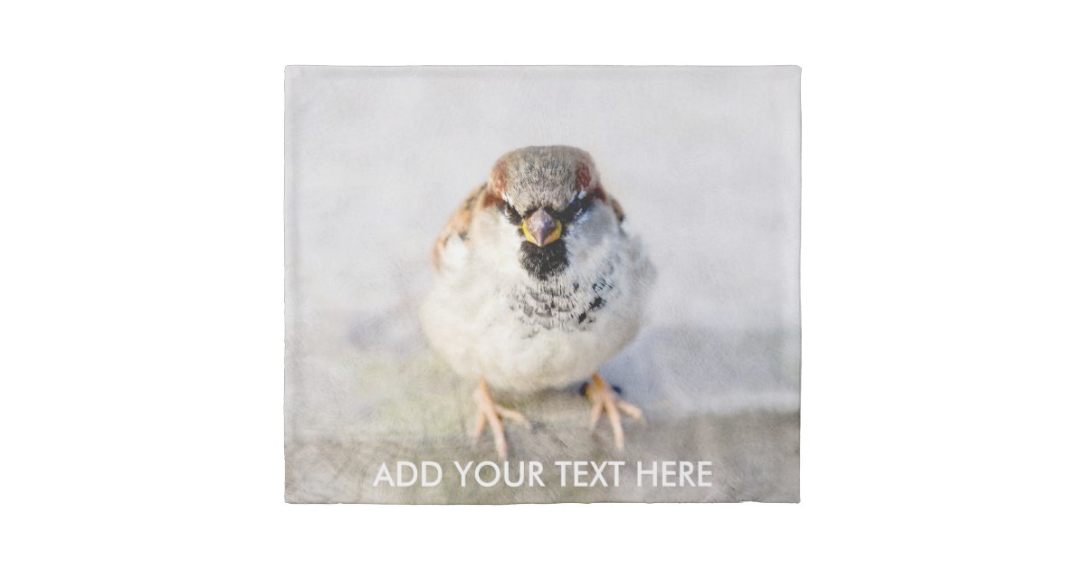 Serious Sparrow Duvet Cover | Zazzle Serious Sparrow Duvet Cover | Zazzle