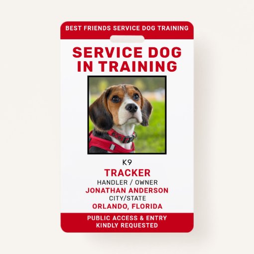 Service Dog In Training ID Card Personalized Photo Badge | Zazzle