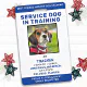Service Dog In Training Personalized Photo ID Card Badge | Zazzle