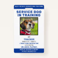 Service Dog In Training Personalized Photo ID Card Badge | Zazzle