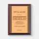 Service Excellence Award Plaque | Zazzle