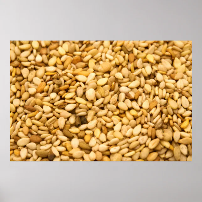Sesame Seeds Poster | Zazzle