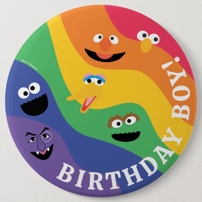 Sesame Street Pals Rainbow Birthday Boy Button | Zazzle