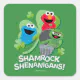 Sesame Street | Shamrock Shenanigans! Square Sticker | Zazzle