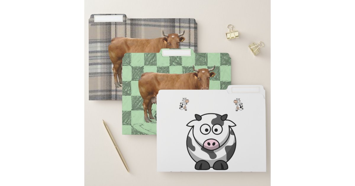 Set of File Folders Cow | Zazzle