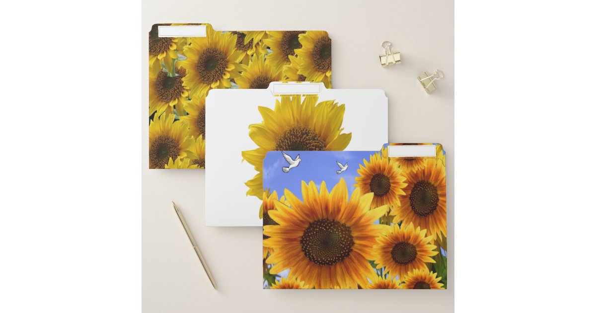 Set of File Folders Sunflower | Zazzle