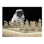 Pug In Glasses Postcard | Zazzle.com