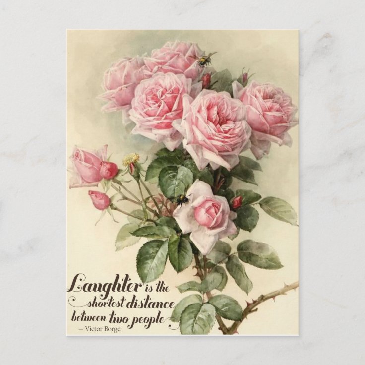 Shabby Chic Pink Victorian Roses Postcard | Zazzle
