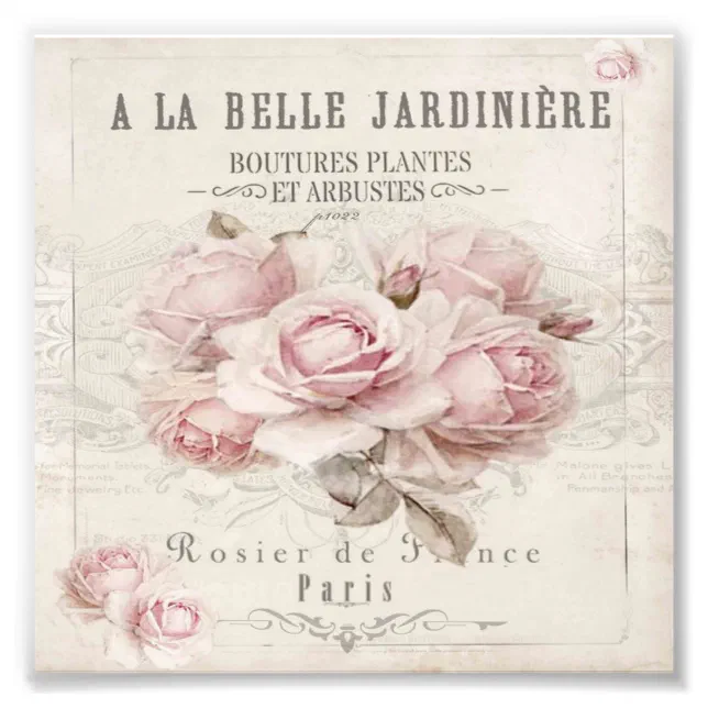 shabby chic,rustic,vintage,floral,collage,country, photo print | Zazzle