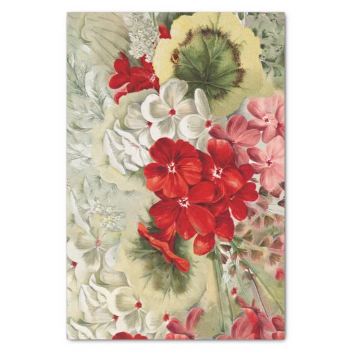 Shabby vintage ivory pink red floral collage tissue paper | Zazzle