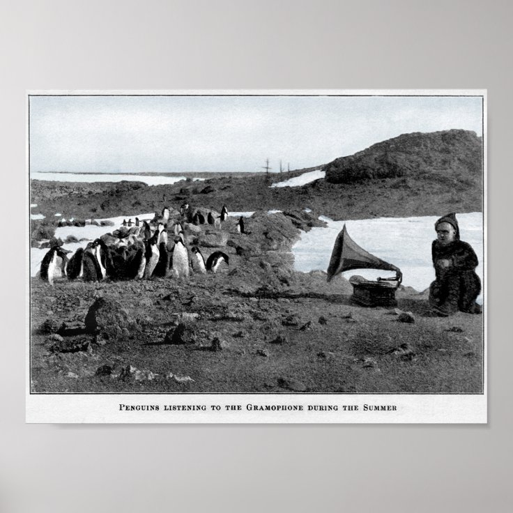 Shackleton in Antarctic Gramophone with Penguins Poster | Zazzle