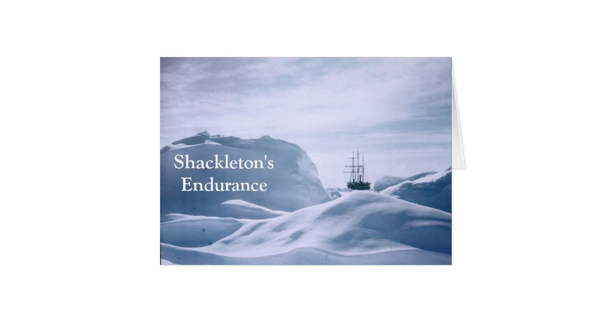 Shackleton's Endurance | Zazzle