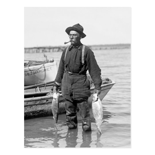 Shad Fishing, early 1900s Postcard | Zazzle.com