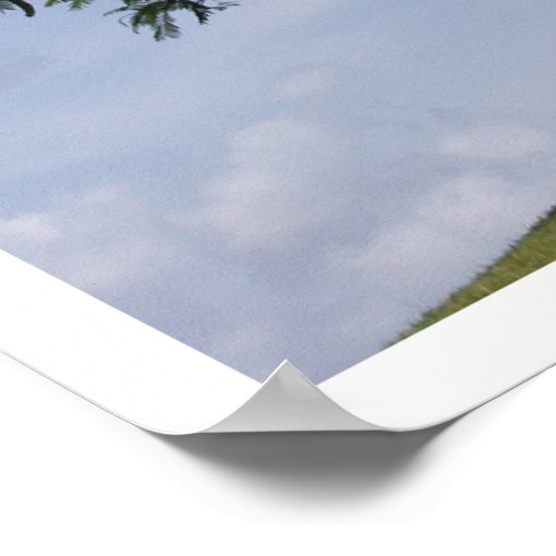 shade poster | Zazzle