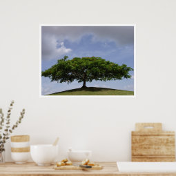 shade poster | Zazzle