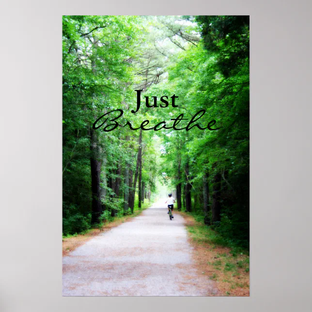 Shaded Path Poster | Zazzle