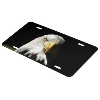 Shadowed bald eagle face license plate | Zazzle