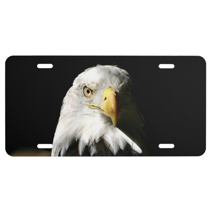 Shadowed bald eagle face license plate | Zazzle