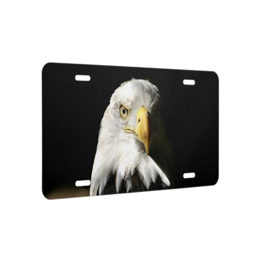 Shadowed bald eagle face license plate | Zazzle