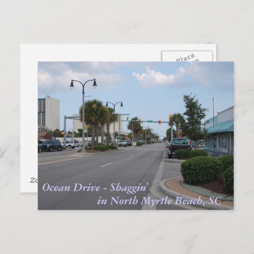 Shaggin on Ocean Drive Postcard | Zazzle