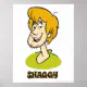 Shaggy Name Graphic Poster | Zazzle