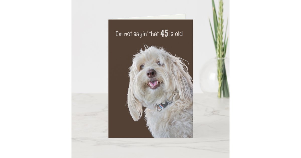Shaggy Poodle for 45th Birthday Humor Card | Zazzle