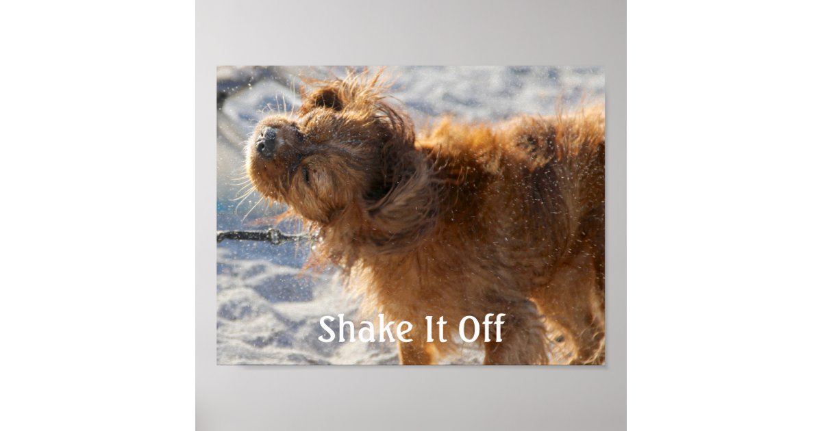Shake It Off Poster | Zazzle