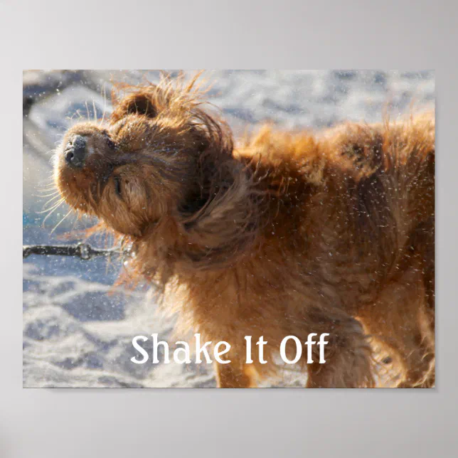 Shake It Off Poster | Zazzle