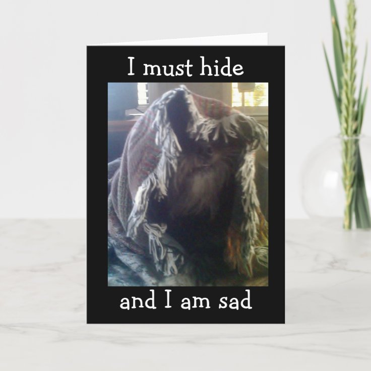 SHAME - I **MISSED** YOUR BIRTHDAY CARD | Zazzle