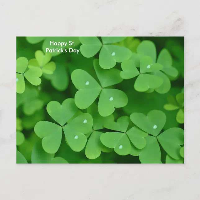 Shamrock image for postcard | Zazzle