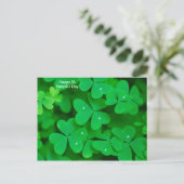 Shamrock image for postcard | Zazzle