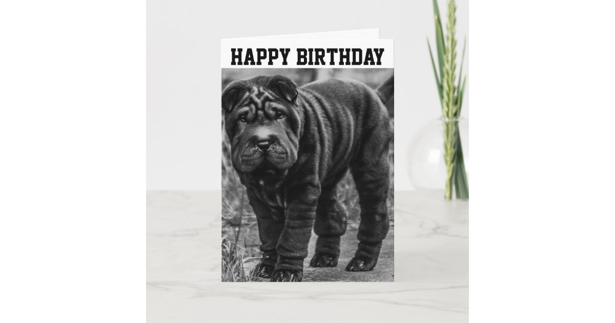 SHAR PEI DOG CUTE BIRTHDAY CARD | Zazzle