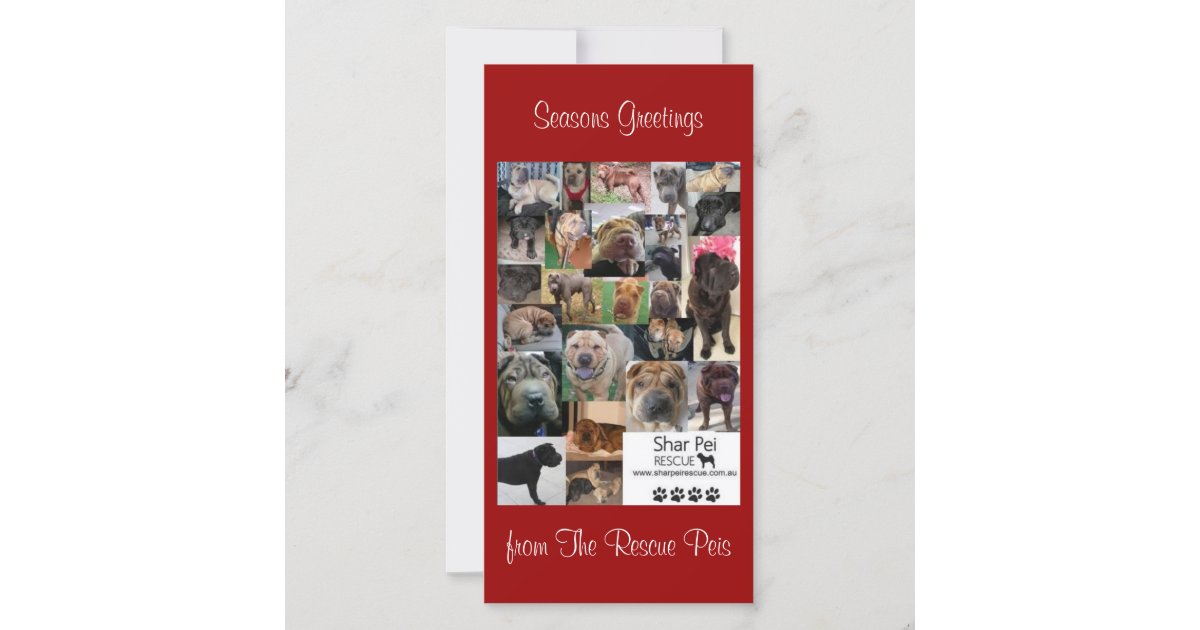 Shar Pei Rescue Xmas Card | Zazzle