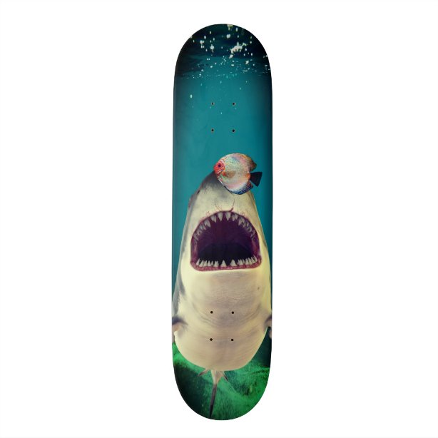 Shark Skateboards & Outdoor Gear | Zazzle