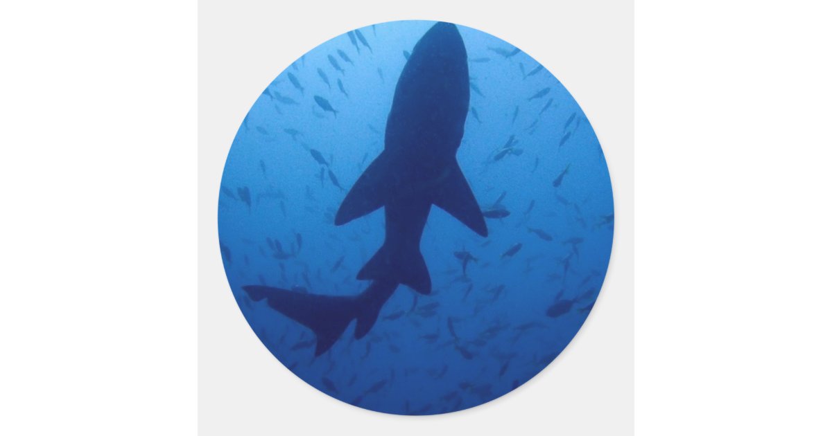Shark Attack Stickers | Zazzle