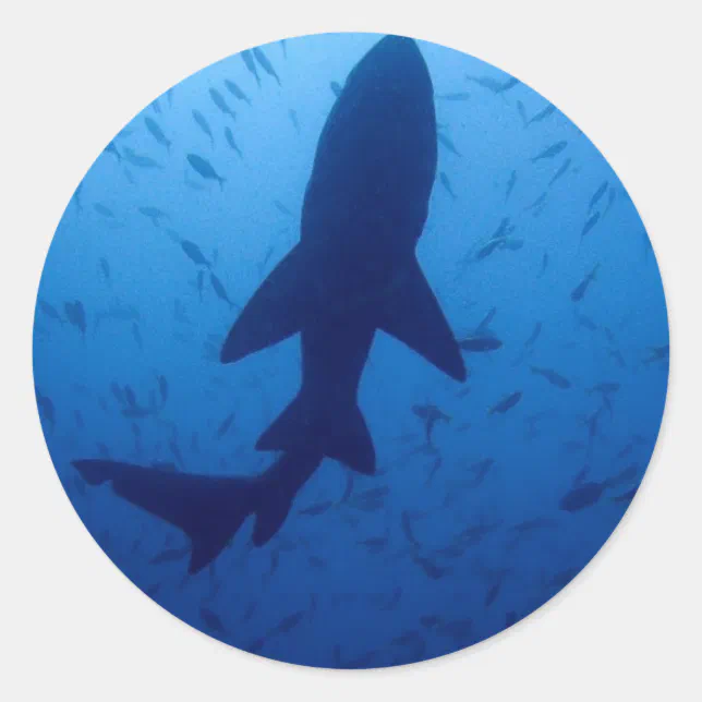Shark Attack Stickers | Zazzle