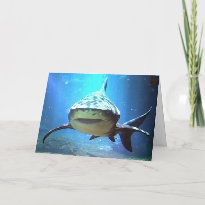 Shark Greeting Card | Zazzle.com