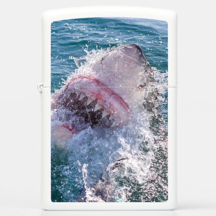 Shark in the water zippo lighter | Zazzle