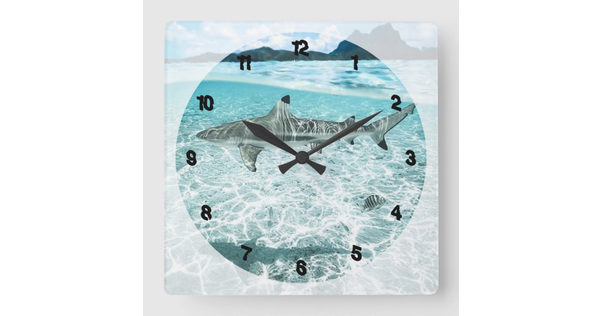 Shark in the Waters Square Wall Clock | Zazzle