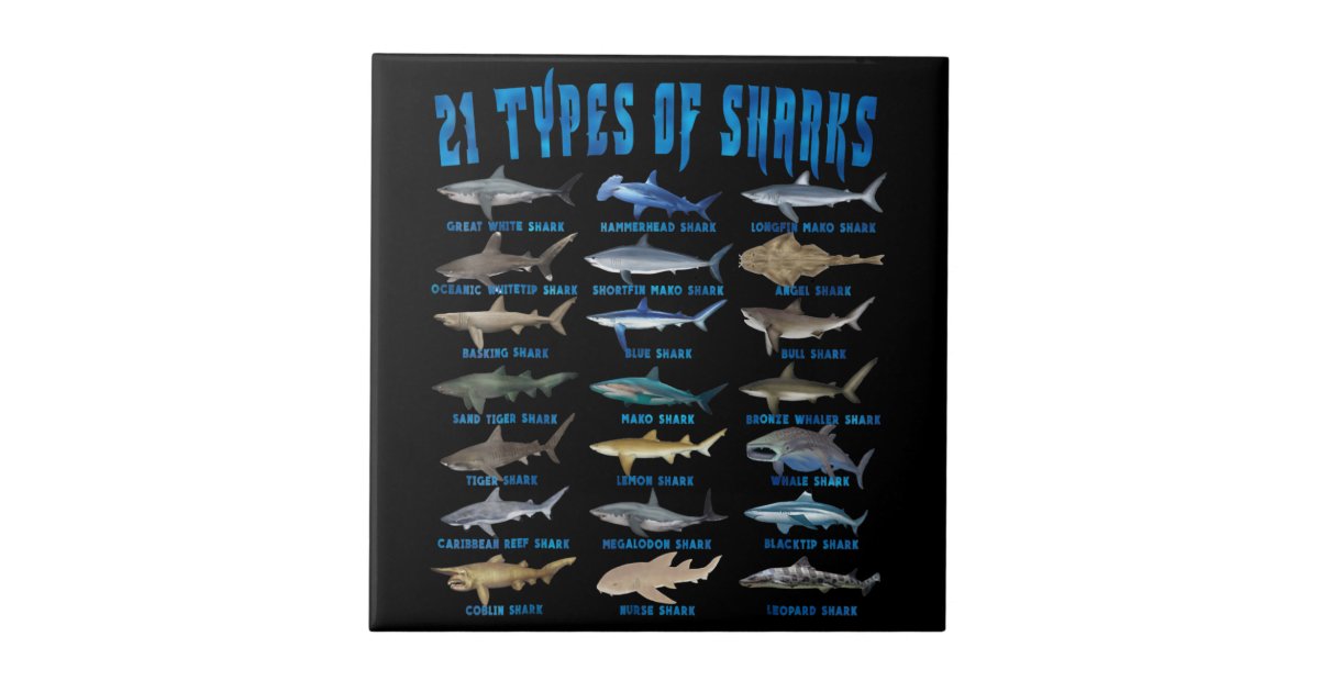 Shark Lovers 21 Types Of Sharks Ocean Animal Ceramic Tile | Zazzle