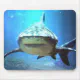 Shark Mouse Pad | Zazzle