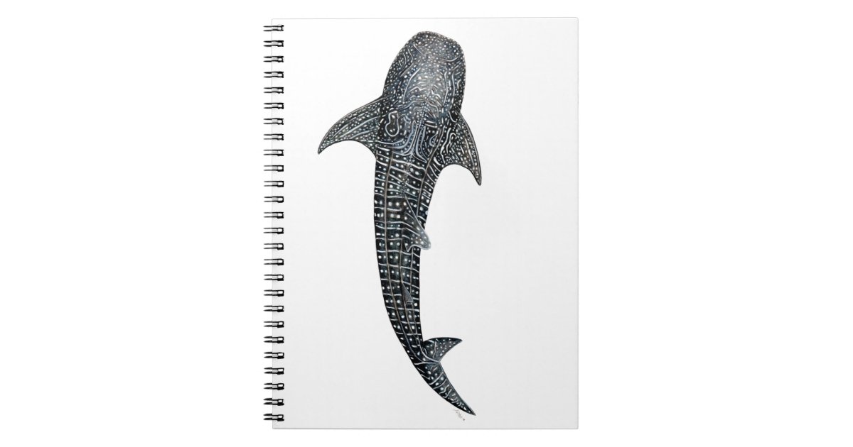 Shark of whale notebook | Zazzle