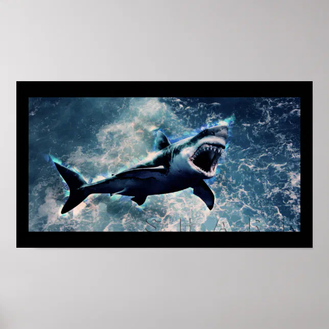 Shark Poster | Zazzle