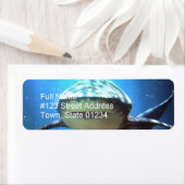 Shark Return Address Label | Zazzle