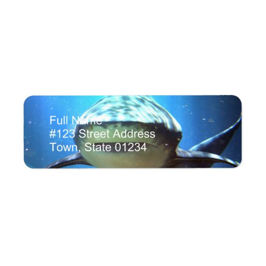 Shark Return Address Label | Zazzle.com