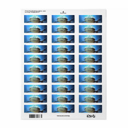 Shark Return Address Label | Zazzle